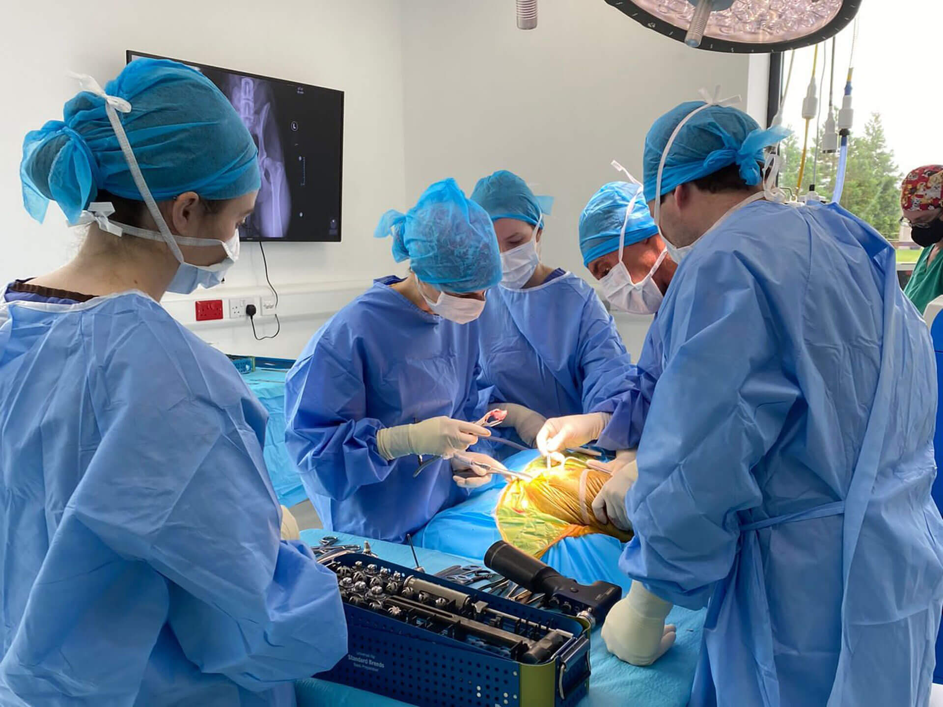 Veterinary Community - Veterinary Specialists Ireland