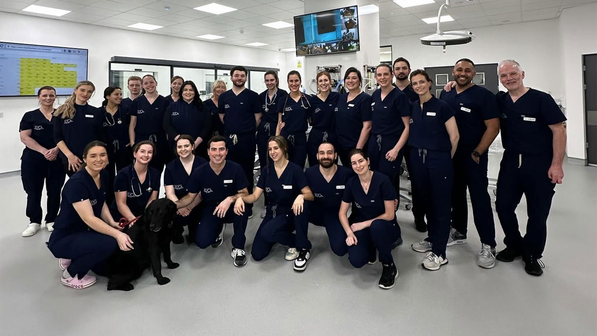 Our Team Surgeons, Nurses, Admin | Veterinary Specialists Ireland